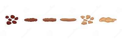 Stool Faeces Type Classification, Structure Excrement. Types ...