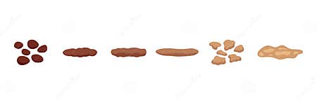 Stool Faeces Type Classification, Structure Excrement. Types ...