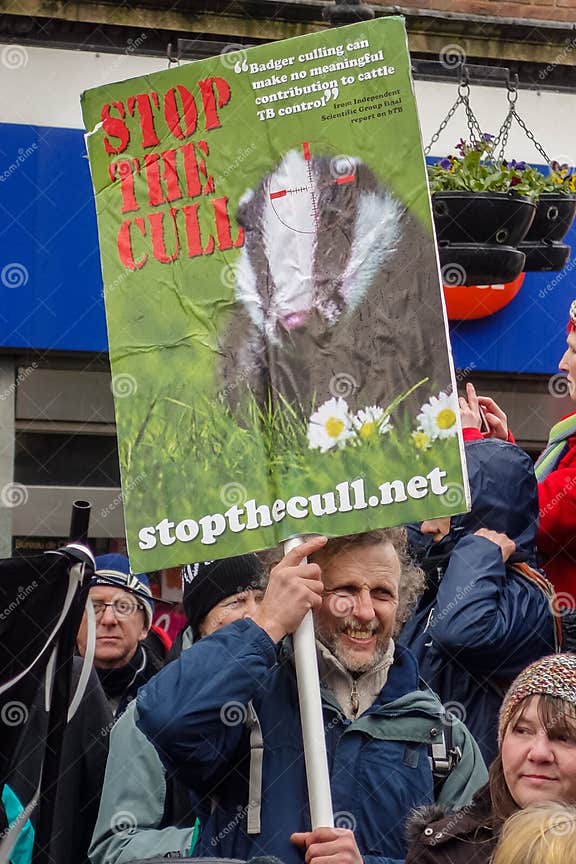 Stop the Badger Cull Protest March Editorial Stock Photo - Image of ...