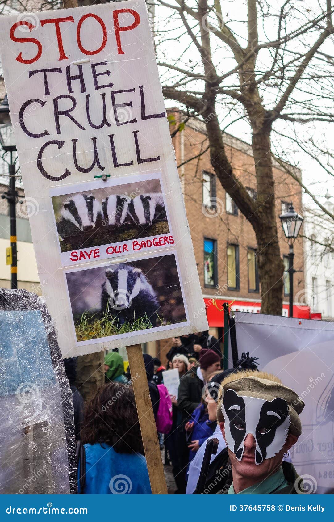 Stop the Badger Cull Protest March Editorial Stock Photo - Image of ...