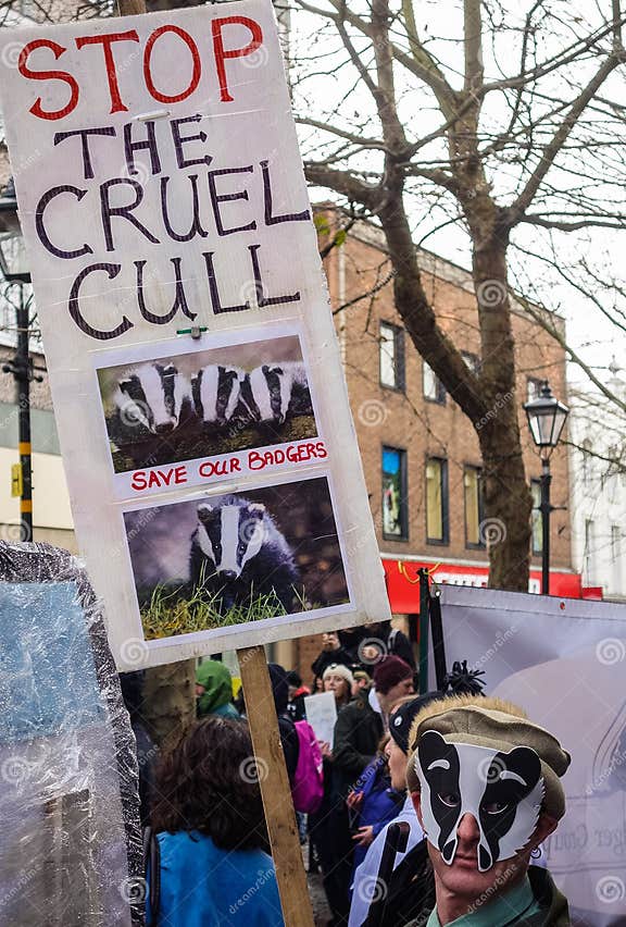 Stop the Badger Cull Protest March Editorial Stock Photo - Image of ...