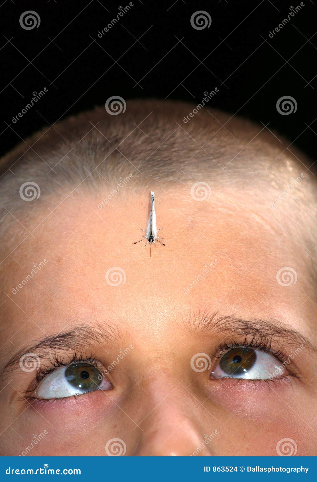 Stop Buggin stock photo. Image of looking, eyed, wierd - 863524
