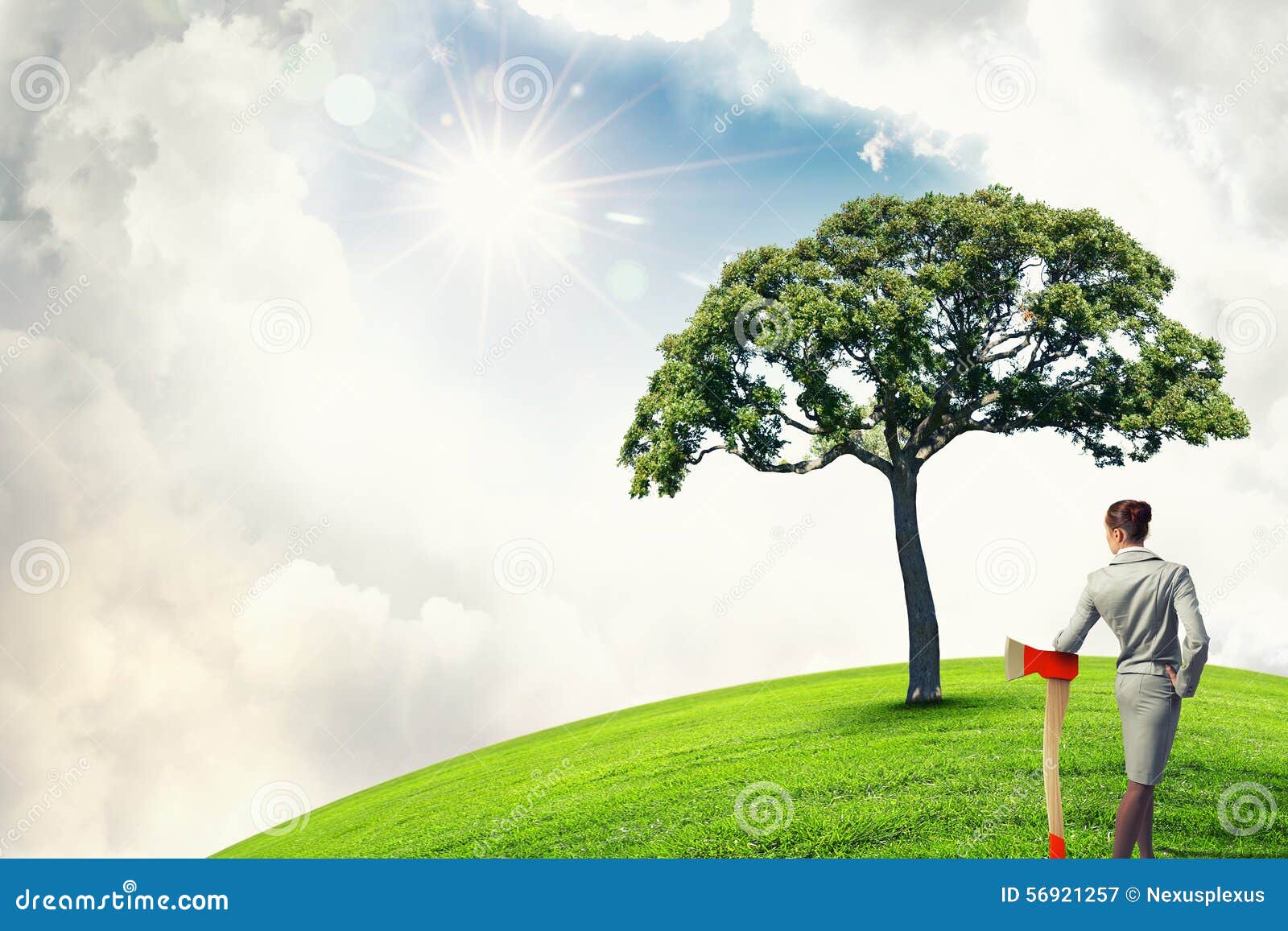 Stop cutting trees stock image. Image of tree, tool, liver - 56921257