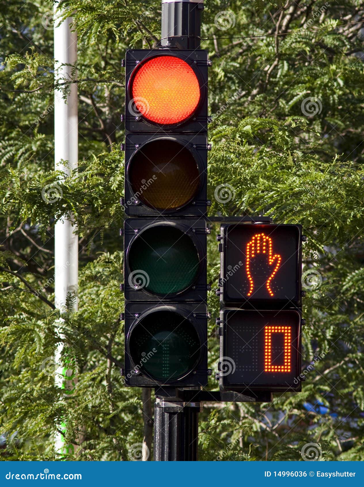 Stop Lights Picture. Image: 14996036