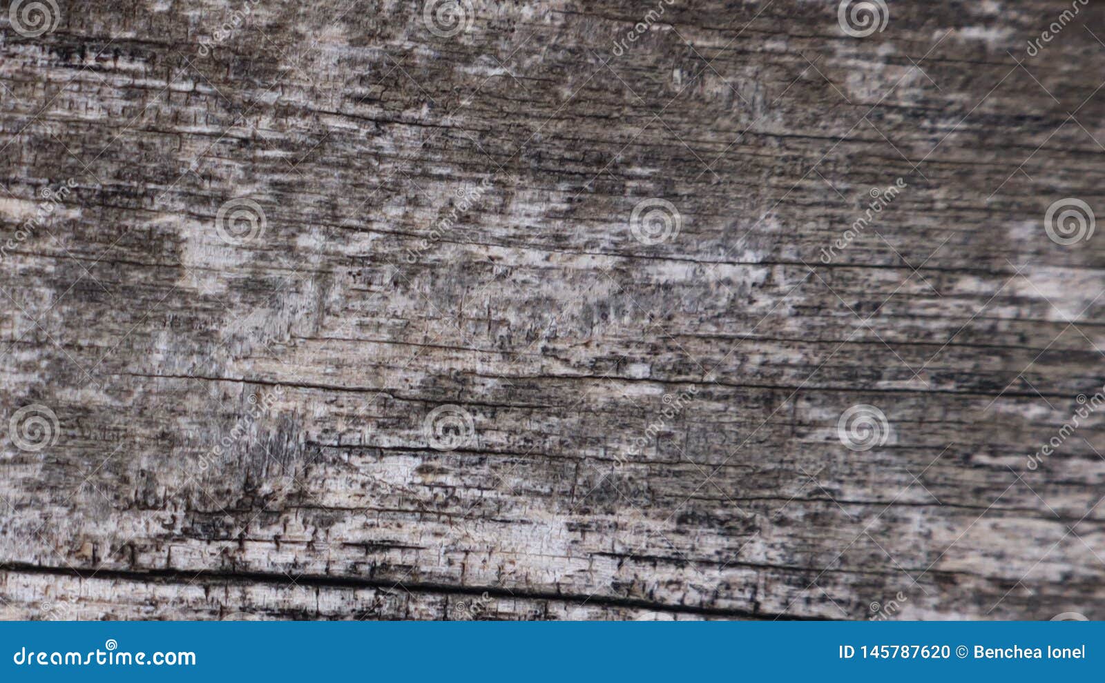 Stop Motion Animated Wood Texture Background Useful for Old Films ...