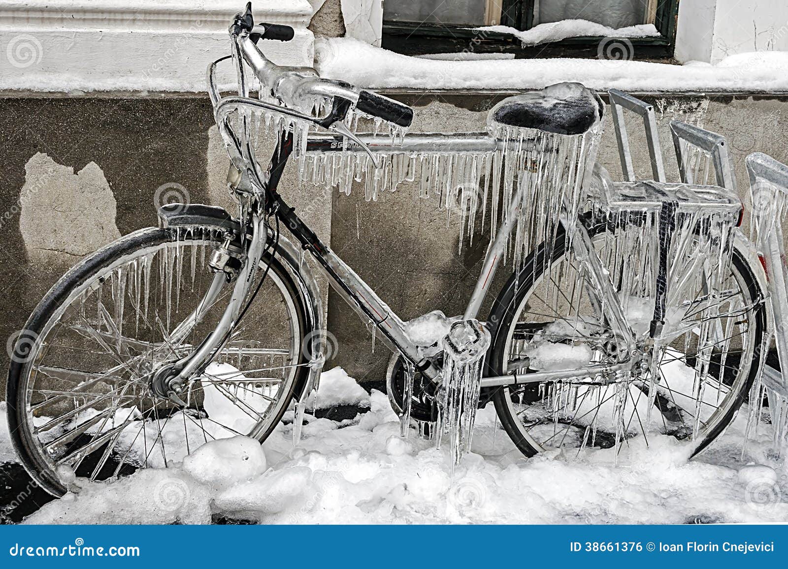 Stop non-movement ! stock photo. Image of single, bare - 38661376