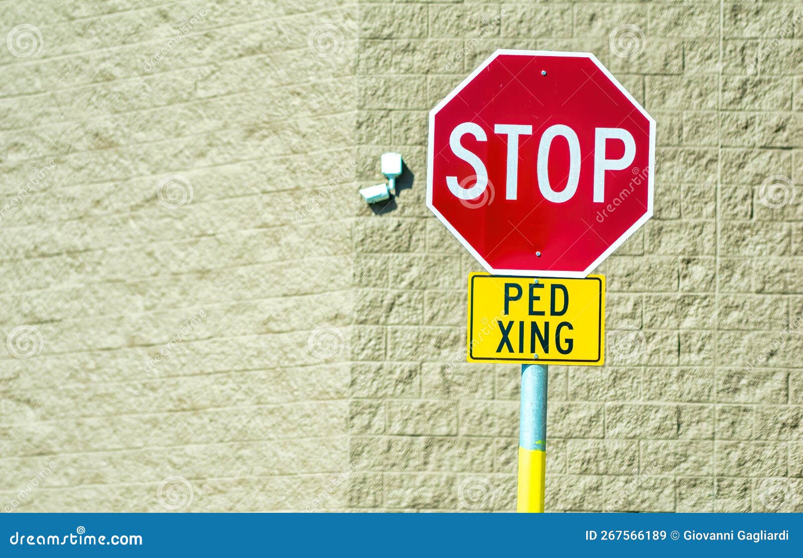 Stop Ped Crossing Signage, White on Red Stock Image - Image of ...