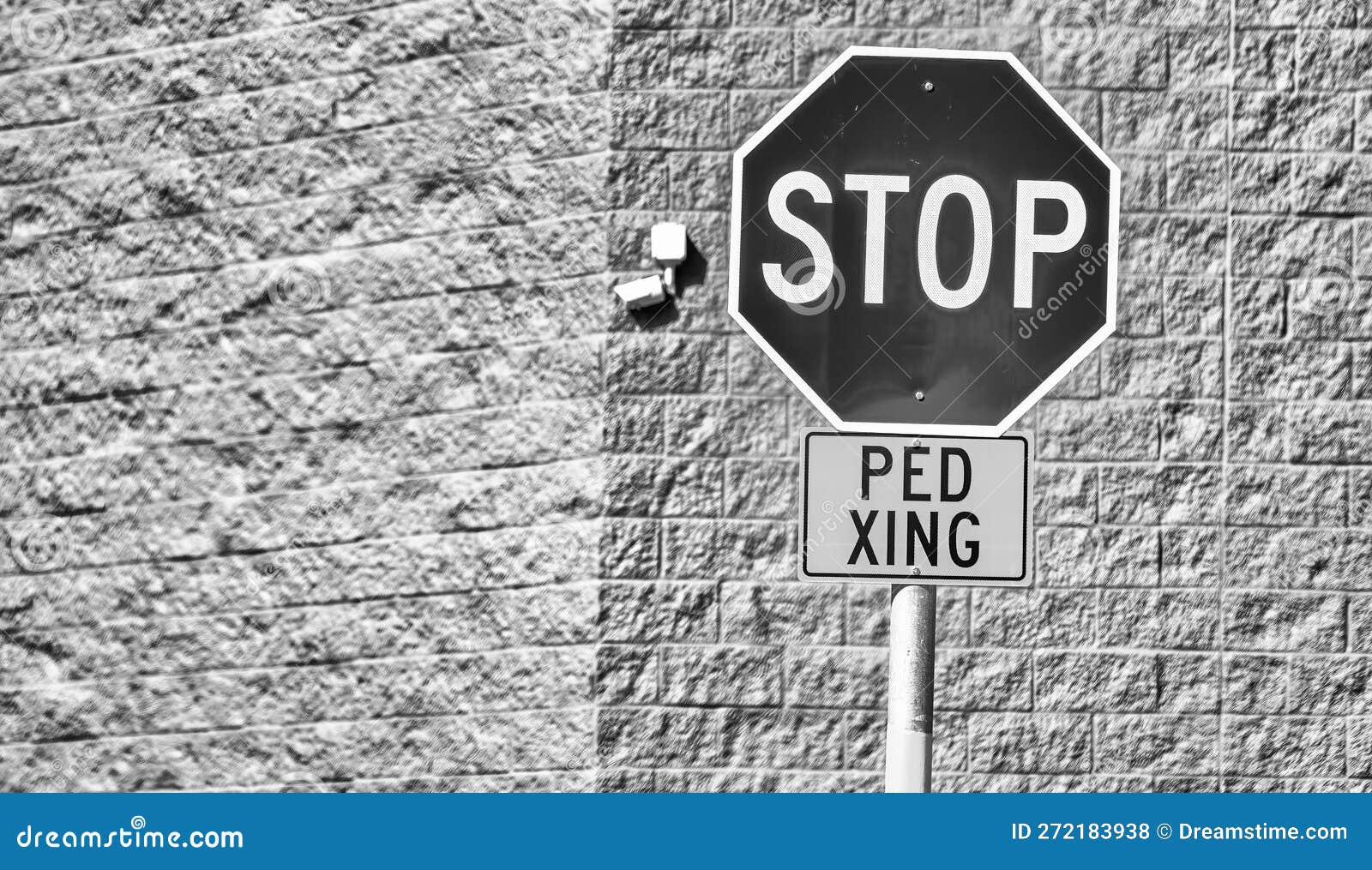 Stop Ped Crossing Signage, White on Red Stock Photo - Image of citation ...