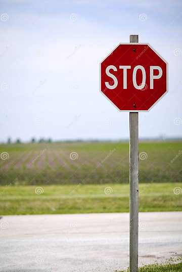 Stop Sign stock photo. Image of maize, signpost, symbol - 10491864