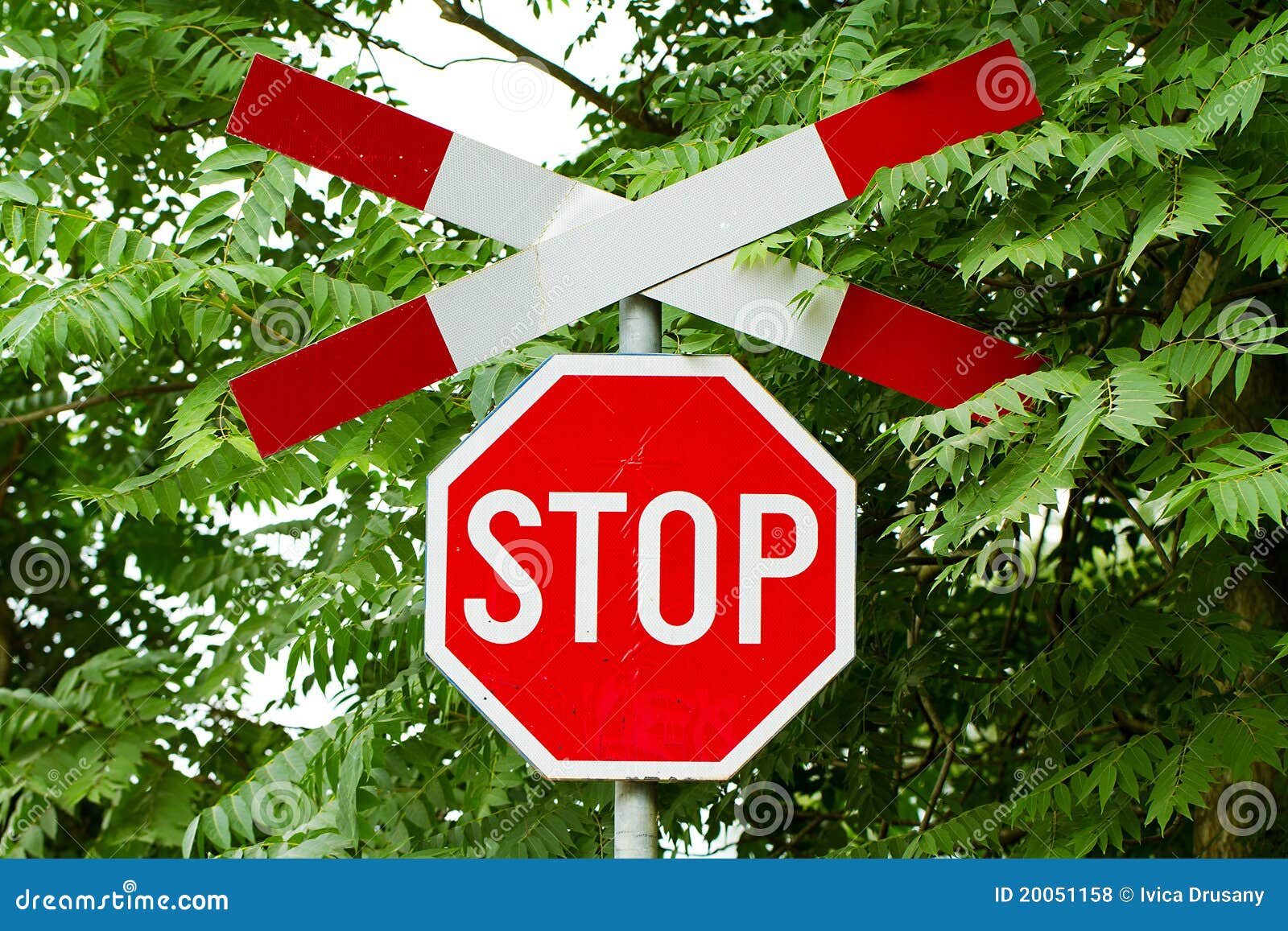 Stop sign stock photo. Image of stop, warning, wait, sign - 20051158