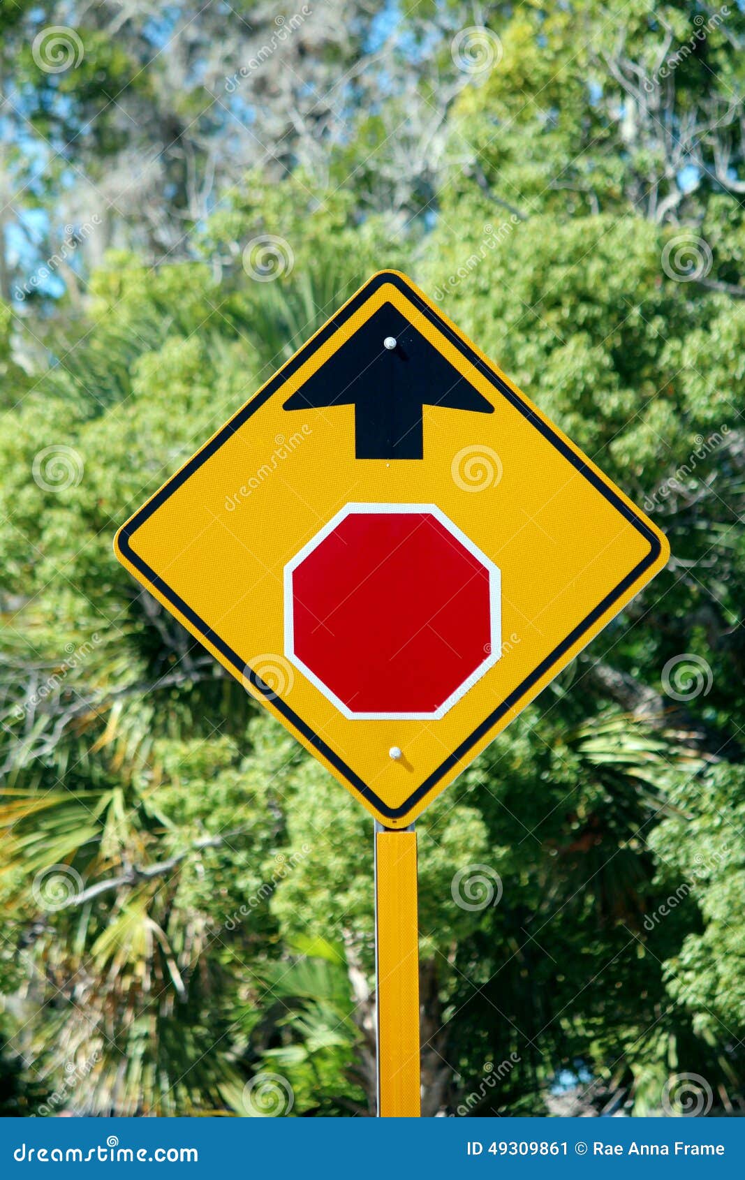 Stop sign ahead stock image. Image of roadsign, alertness - 49309861