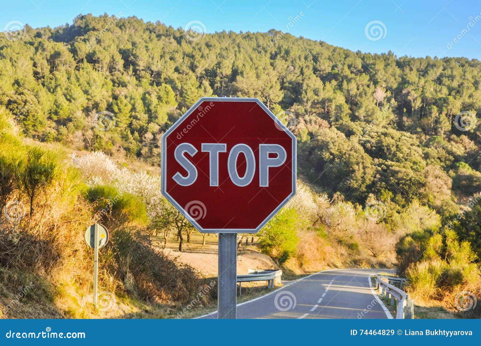 Stop Sign in the Background of Beautiful Landscape and Road. Stock ...
