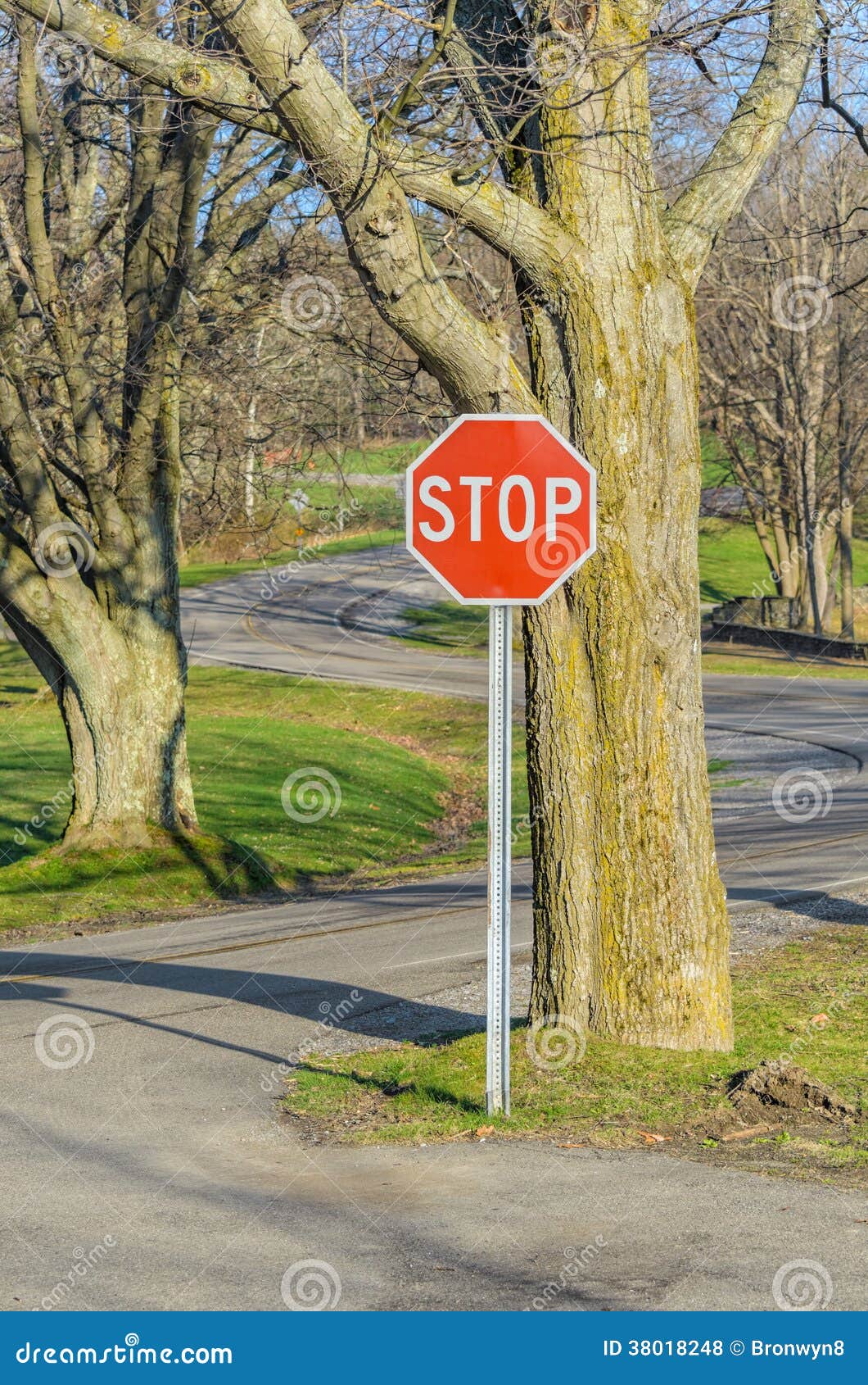 Stop Sign stock photo. Image of stop, road, bare, sign - 38018248