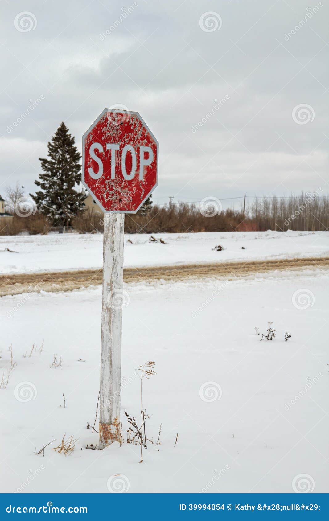 STOP sign stock photo. Image of battered, sign, quality - 39994054