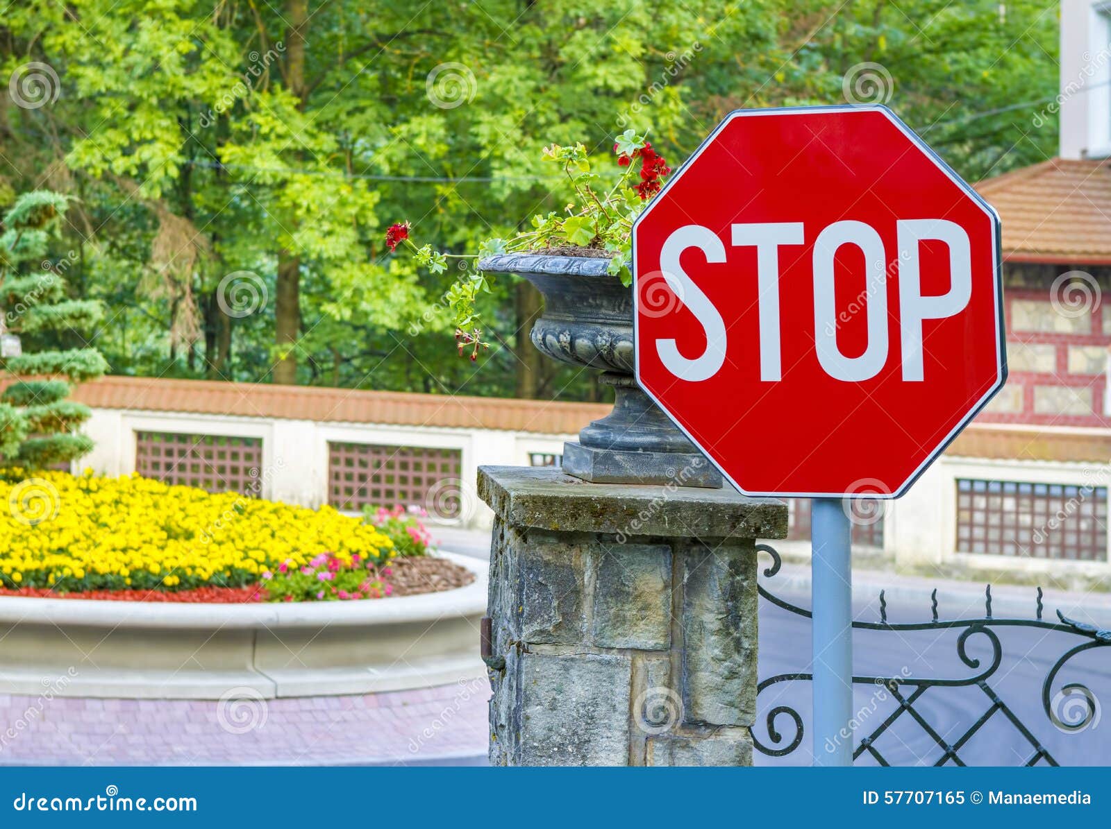 Stop sign closeup stock image. Image of rule, metal, safe - 57707165