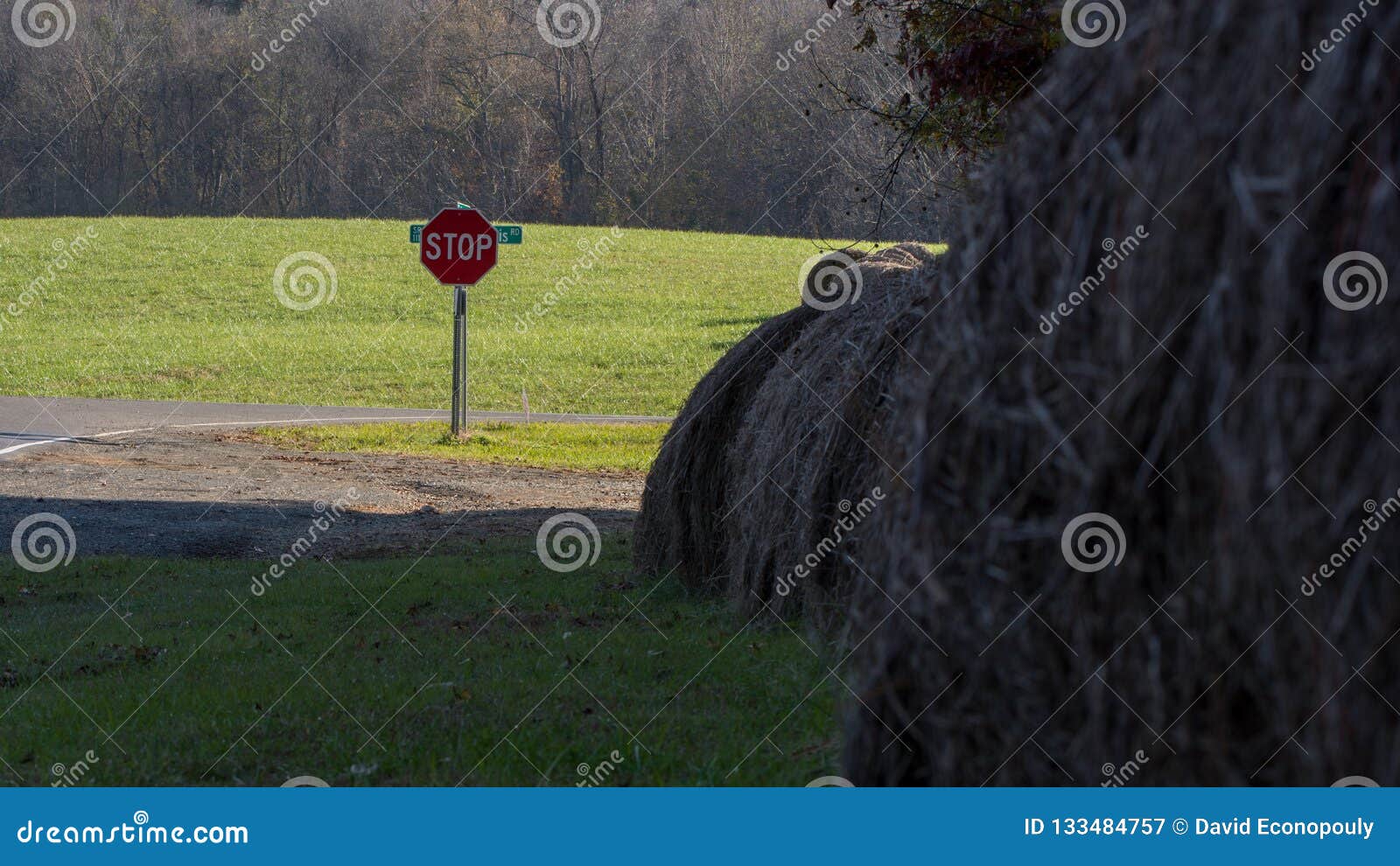Stop sign on country road stock image. Image of country - 133484757