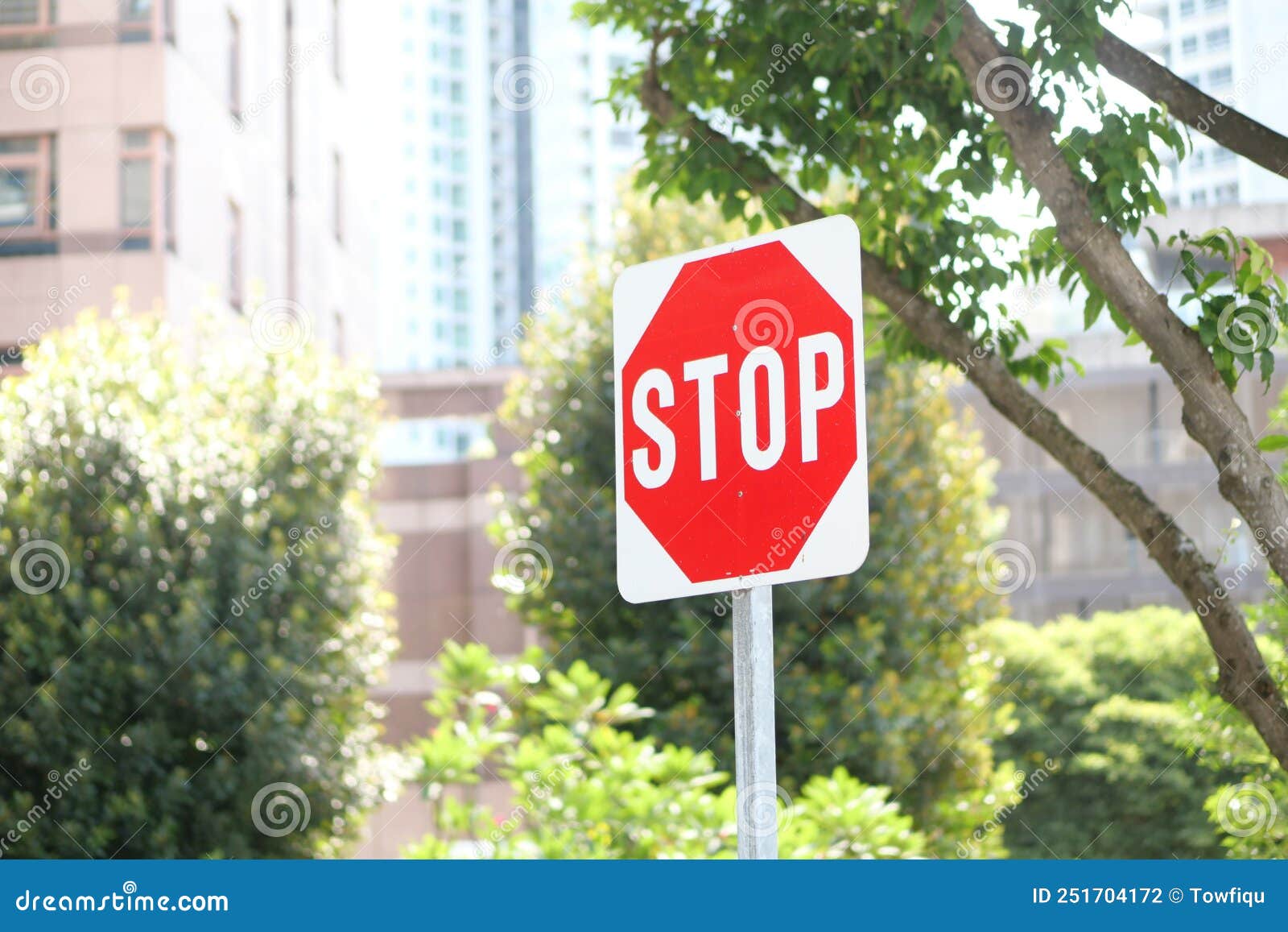 Stop sign in a empty road stock photo. Image of signal - 251704172