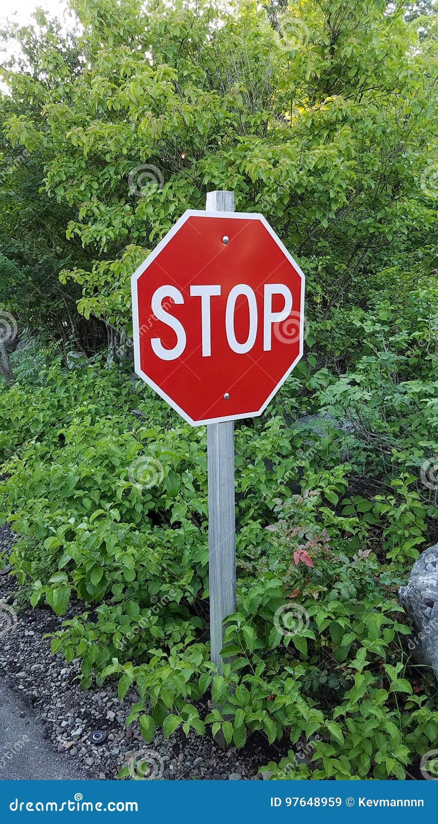 Stop Sign stock image. Image of brush, forest, stop, sign - 97648959