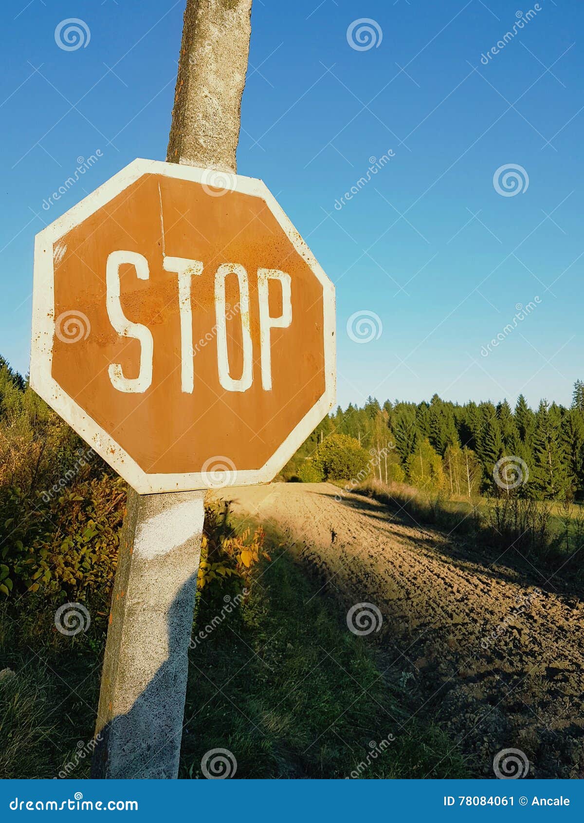 Stop Sign At Forest Edge Stock Image | CartoonDealer.com #78084061