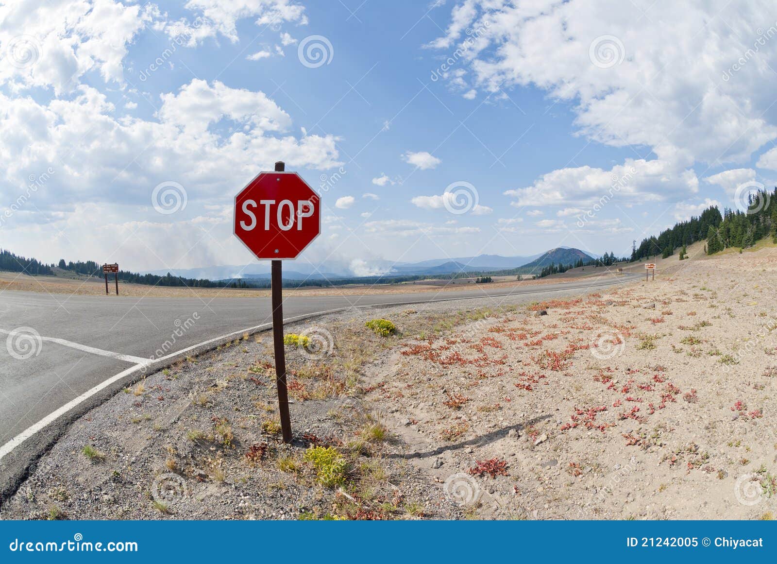 Stop Sign and Forest Fire stock image. Image of sign - 21242005