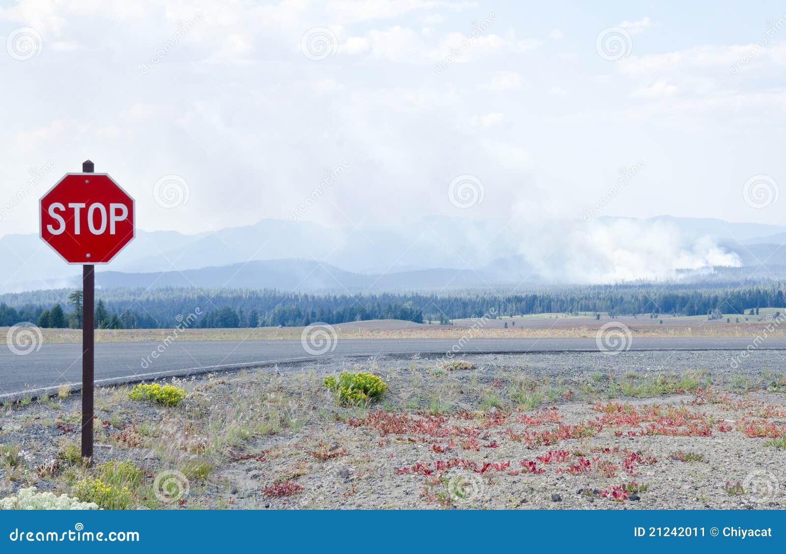 Stop Sign and Forest Fire stock image. Image of smoke - 21242011