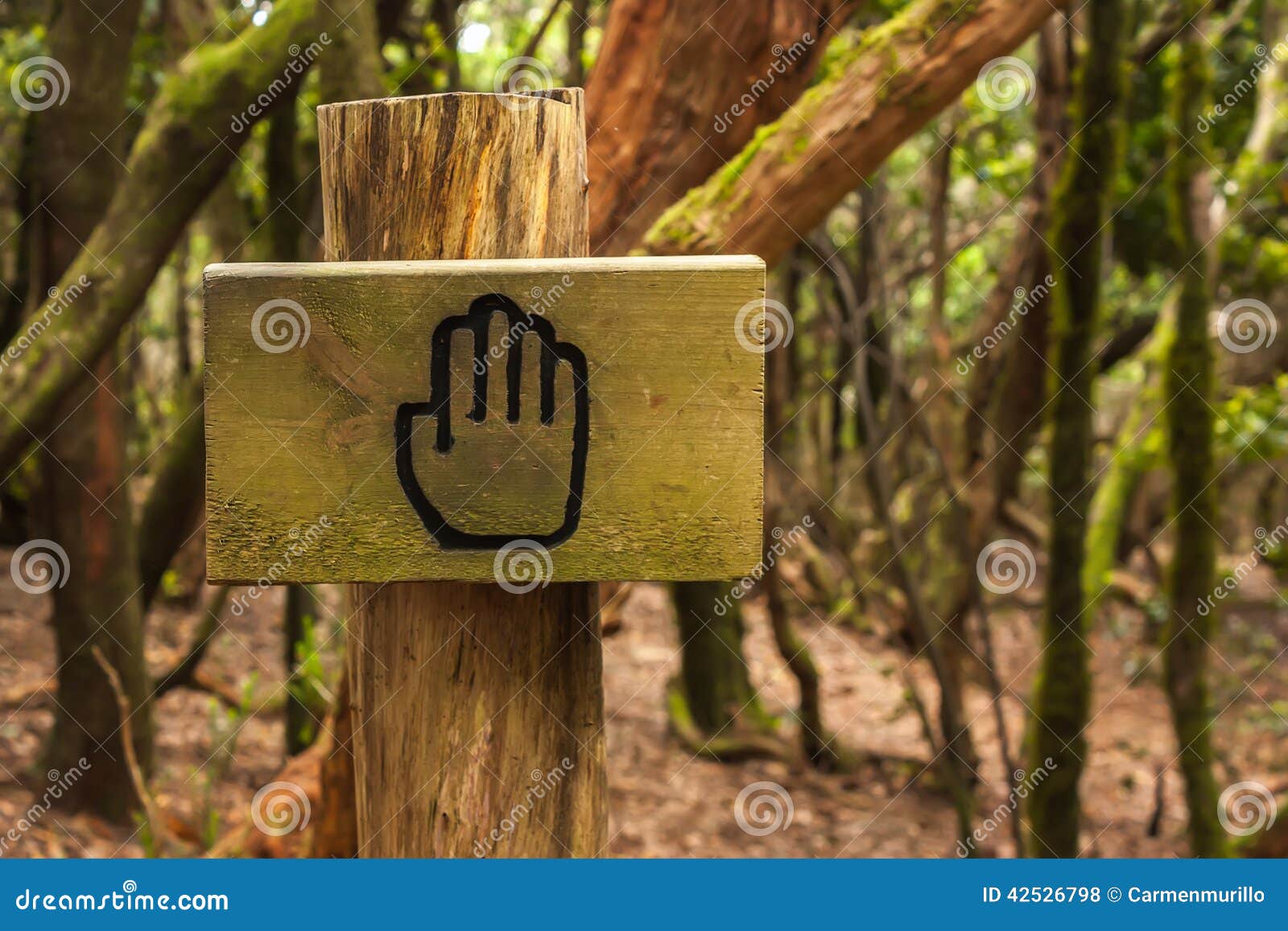 Stop sign on forest path stock photo. Image of nature - 42526798