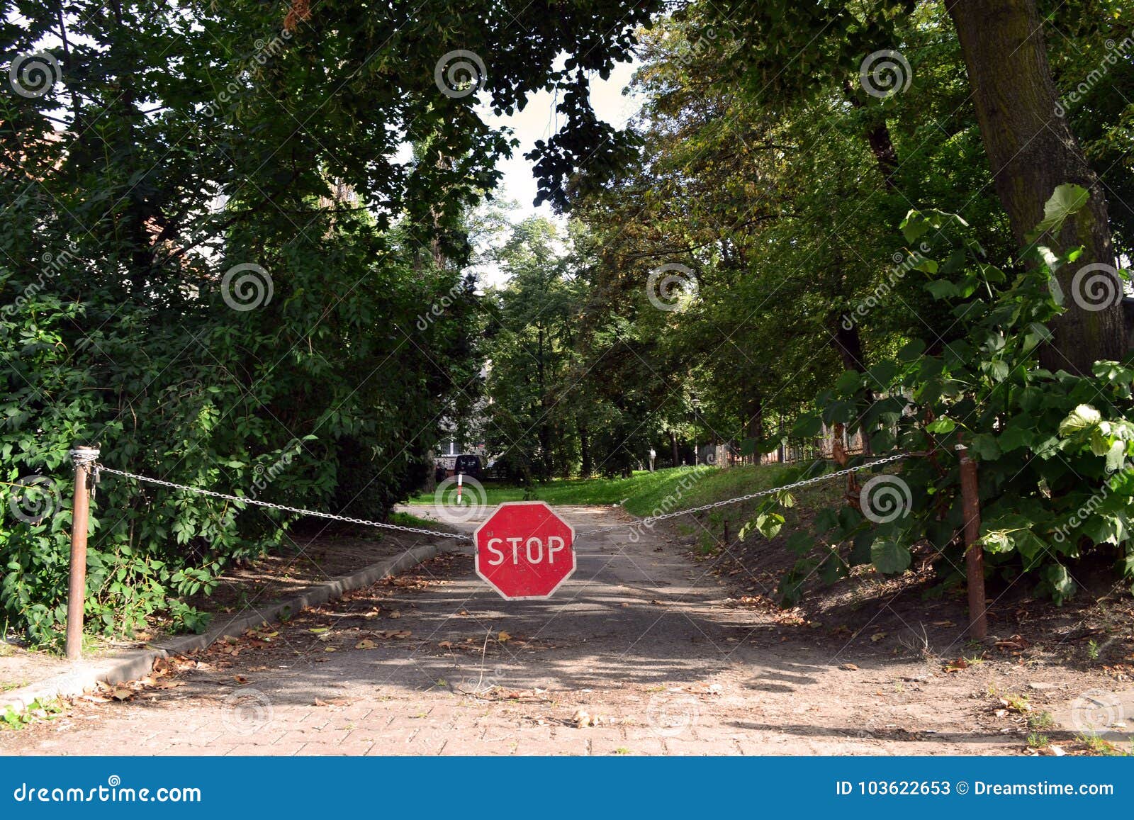 Stop sign on a forest road stock image. Image of paving - 103622653