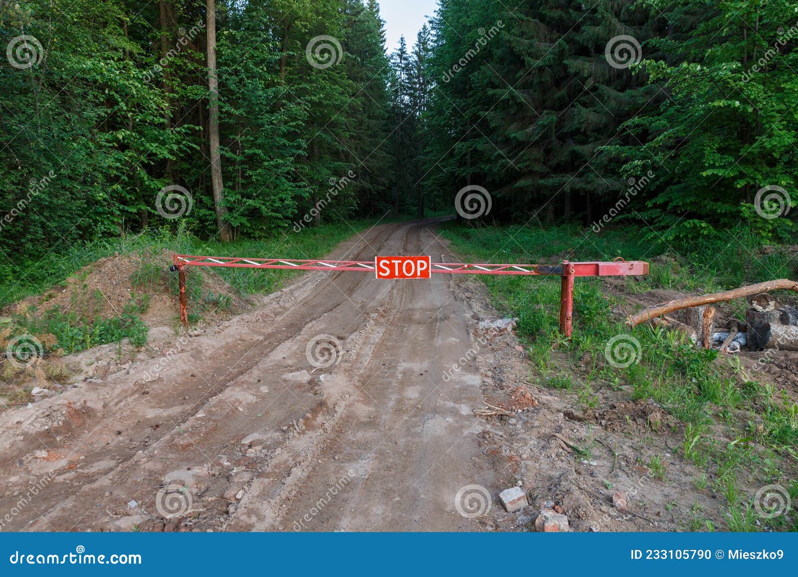Stop sign in the forest. stock photo. Image of border - 233105790