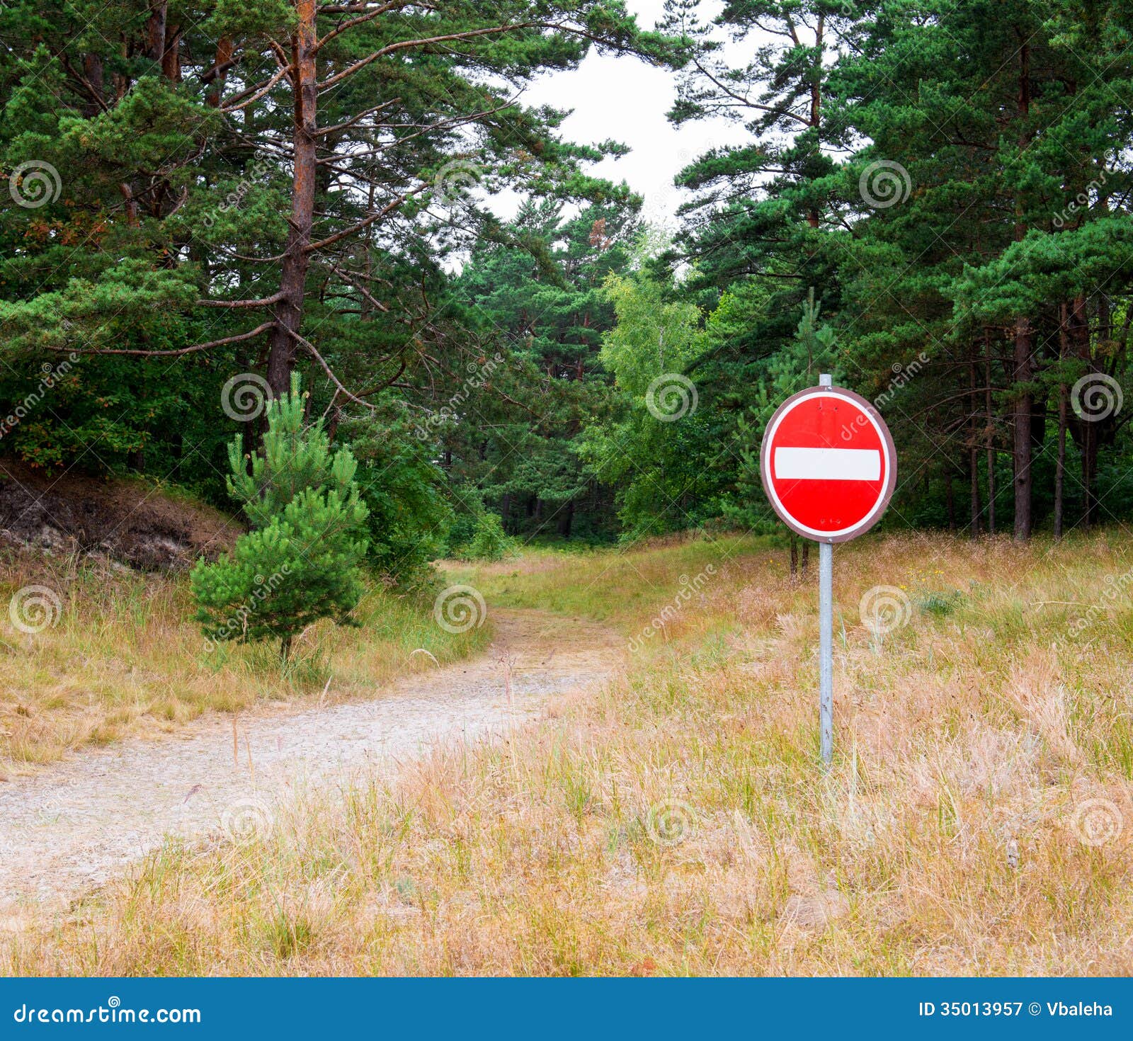 Stop Sign in Front of a Forest Path Stock Image - Image of signal ...