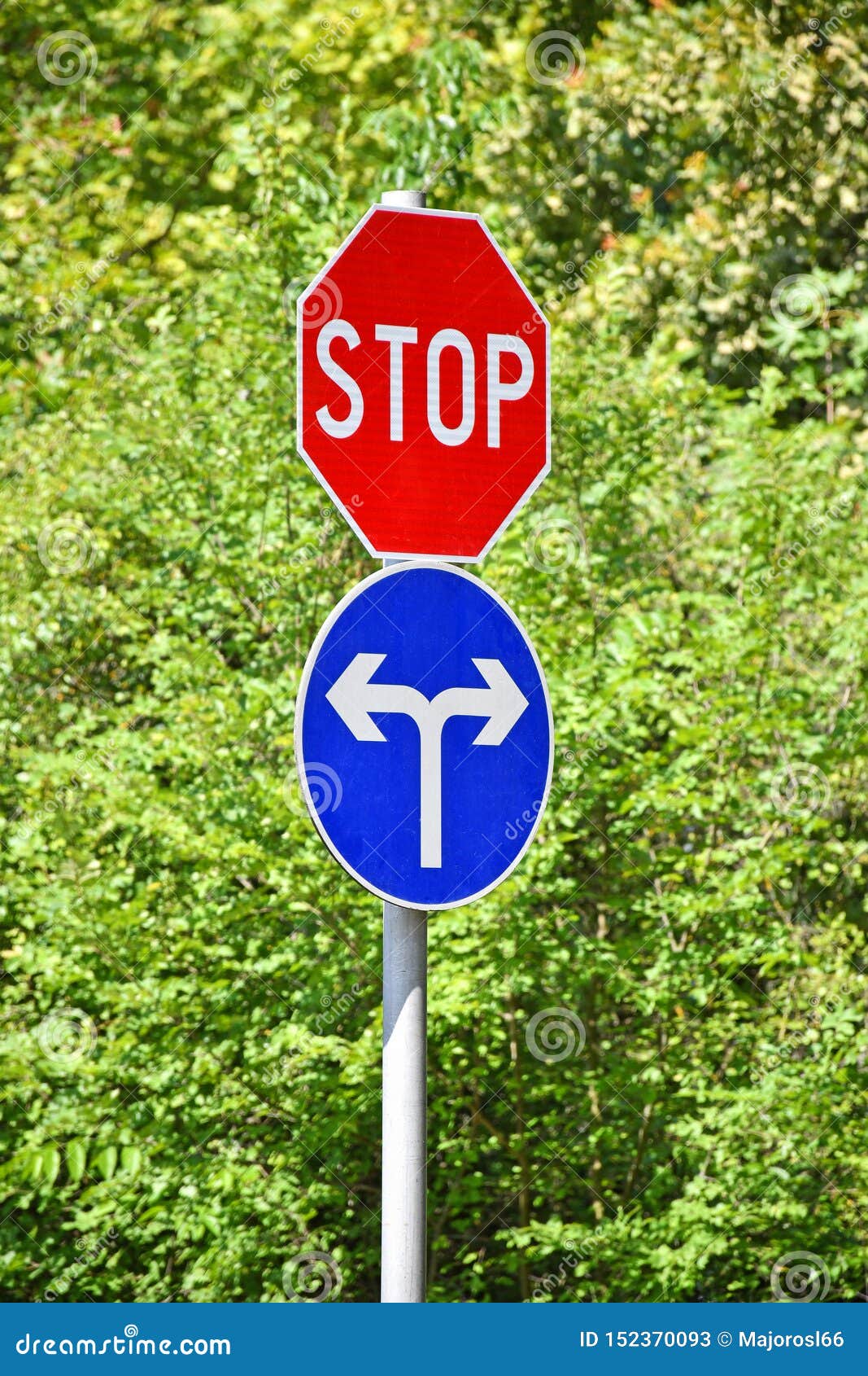 Stop Sign in the Front of a Tree Stock Image - Image of warning, woods ...