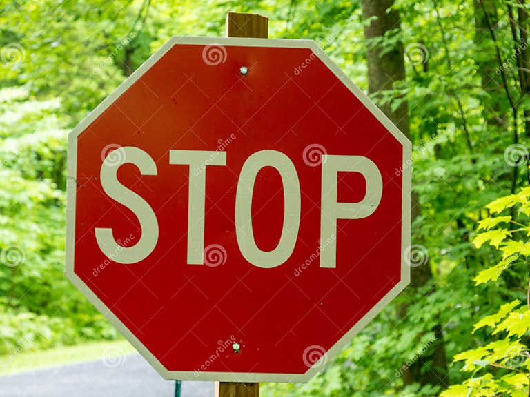 Stop sign and green forest stock image. Image of safety - 122903199
