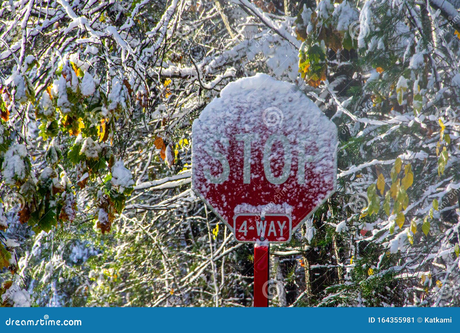 Stop Sign Half Covered in Snow Stock Image - Image of landscape, object ...