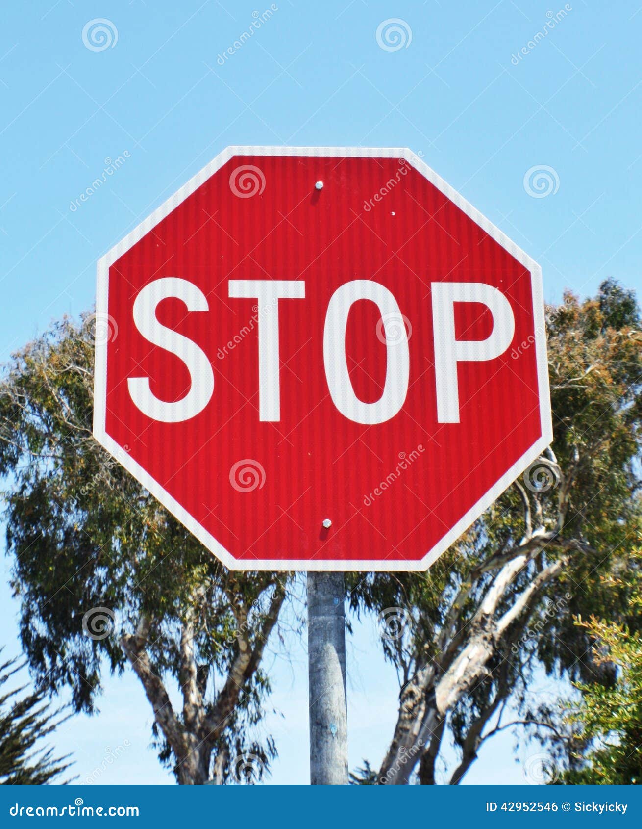 Stop sign stock photo. Image of large, stop, drive, sign - 42952546