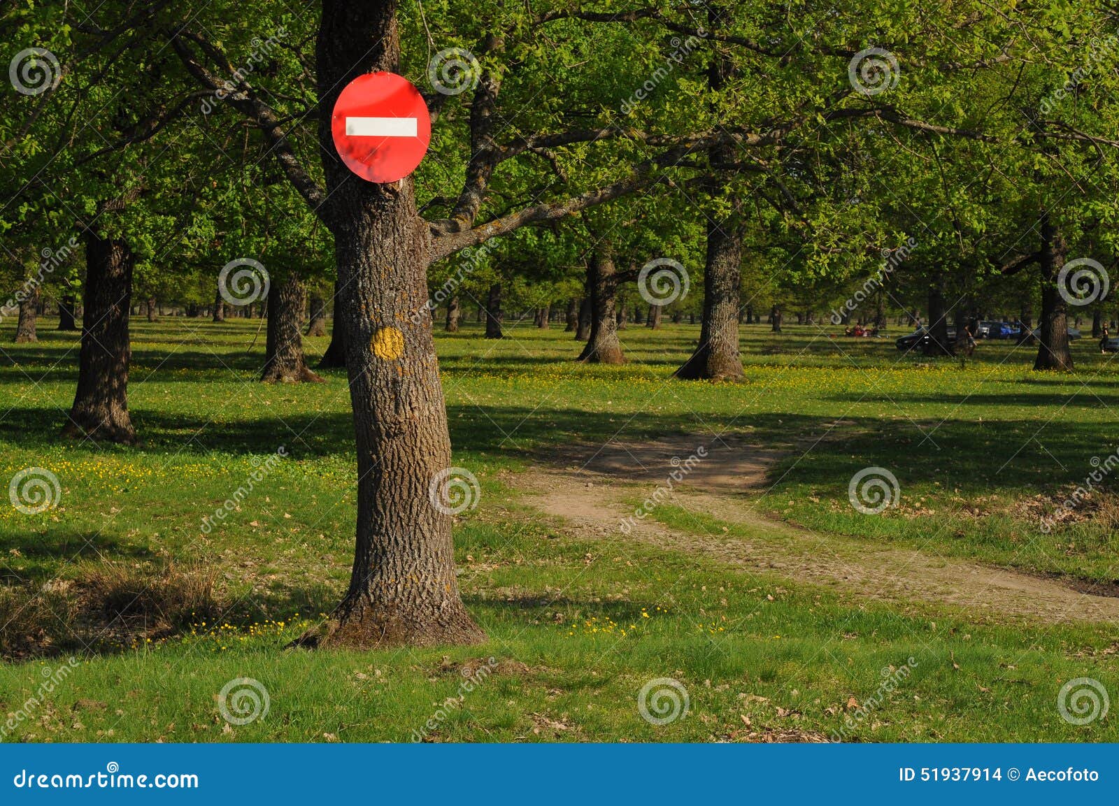 Stop Sign in a Natural Reserve Stock Photo - Image of forbidden, access ...