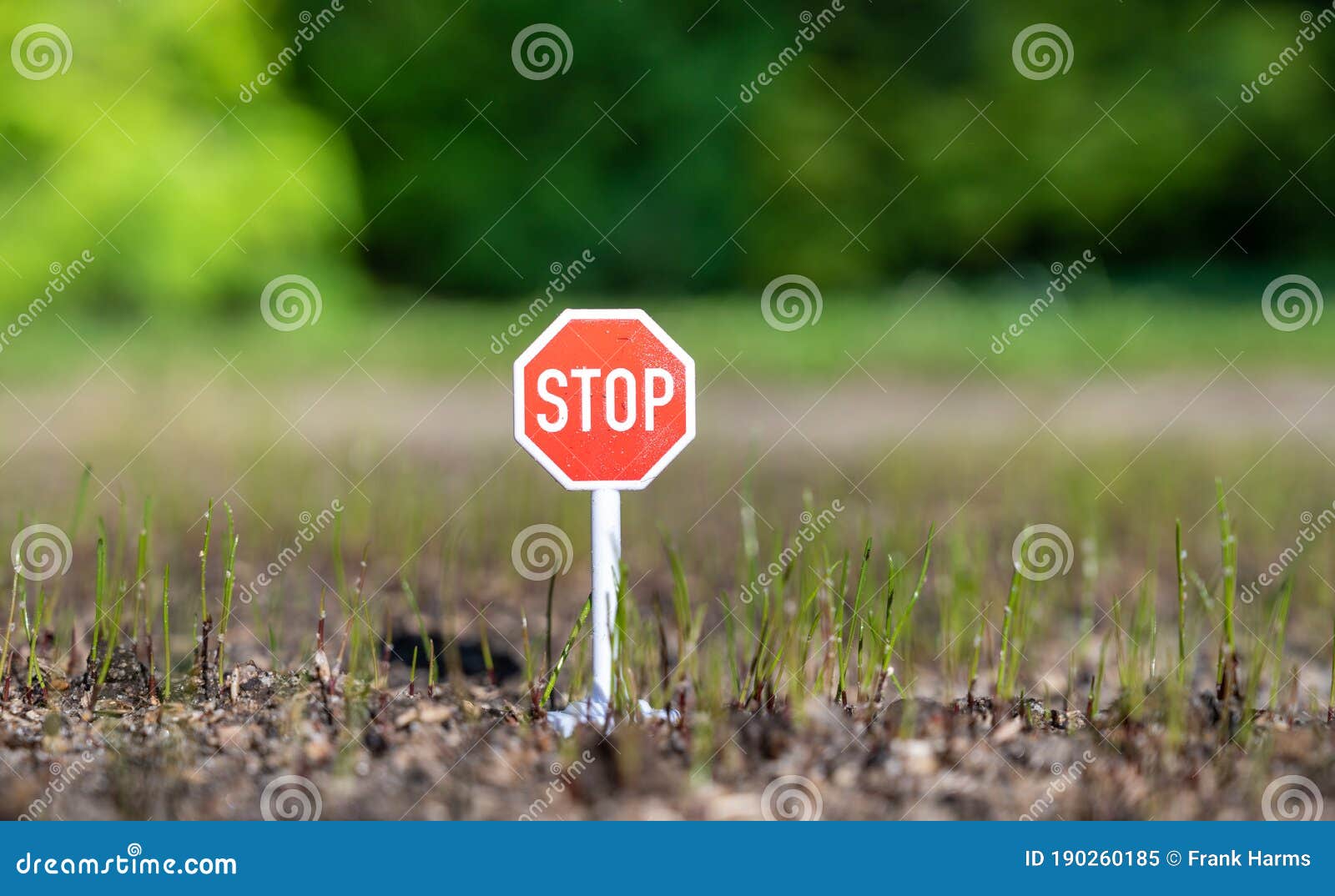 Stop sign on new lawn. stock image. Image of growth - 190260185