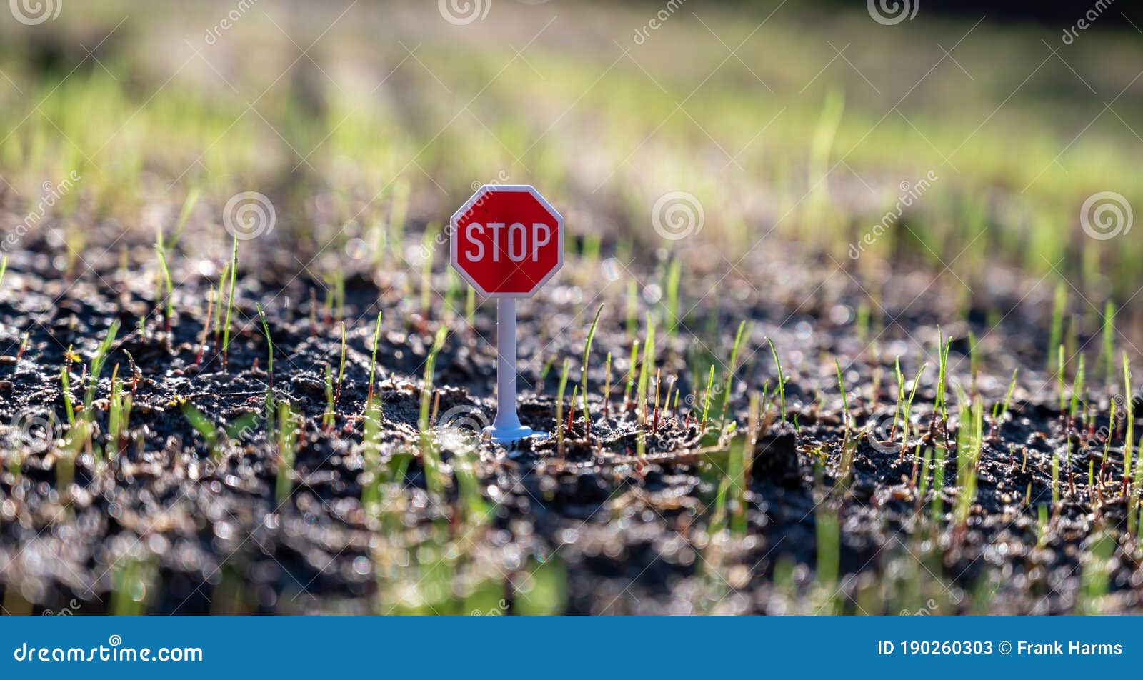 Stop sign on new lawn. stock image. Image of maintenance - 190260303