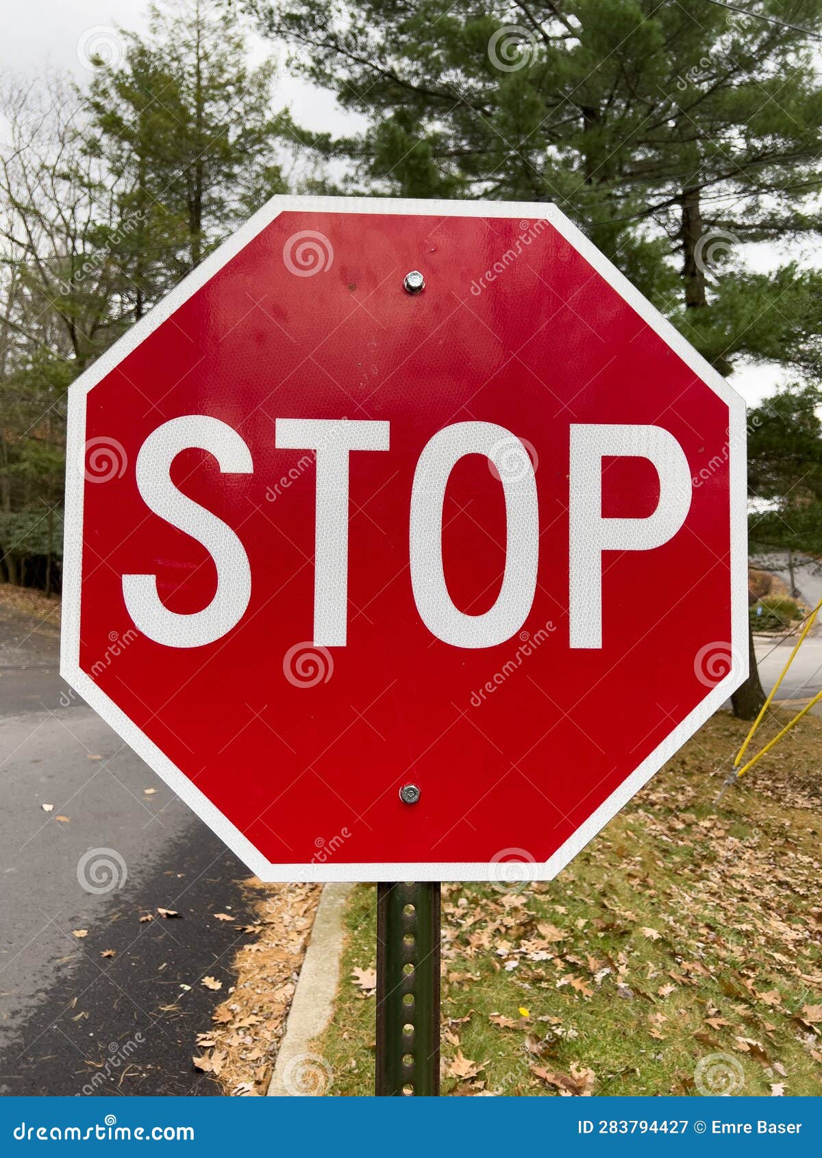 Stop Sign in the Parkcloudy Day Stock Image - Image of forrest, octagon ...