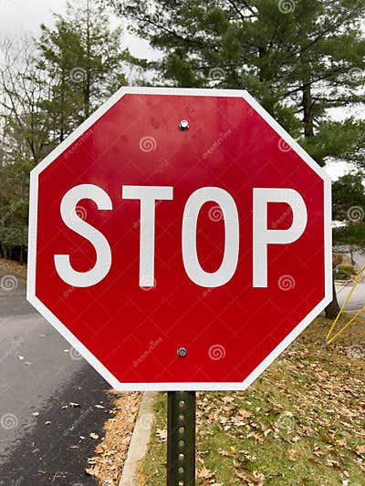 Stop Sign in the Parkcloudy Day Stock Image - Image of forrest, octagon ...