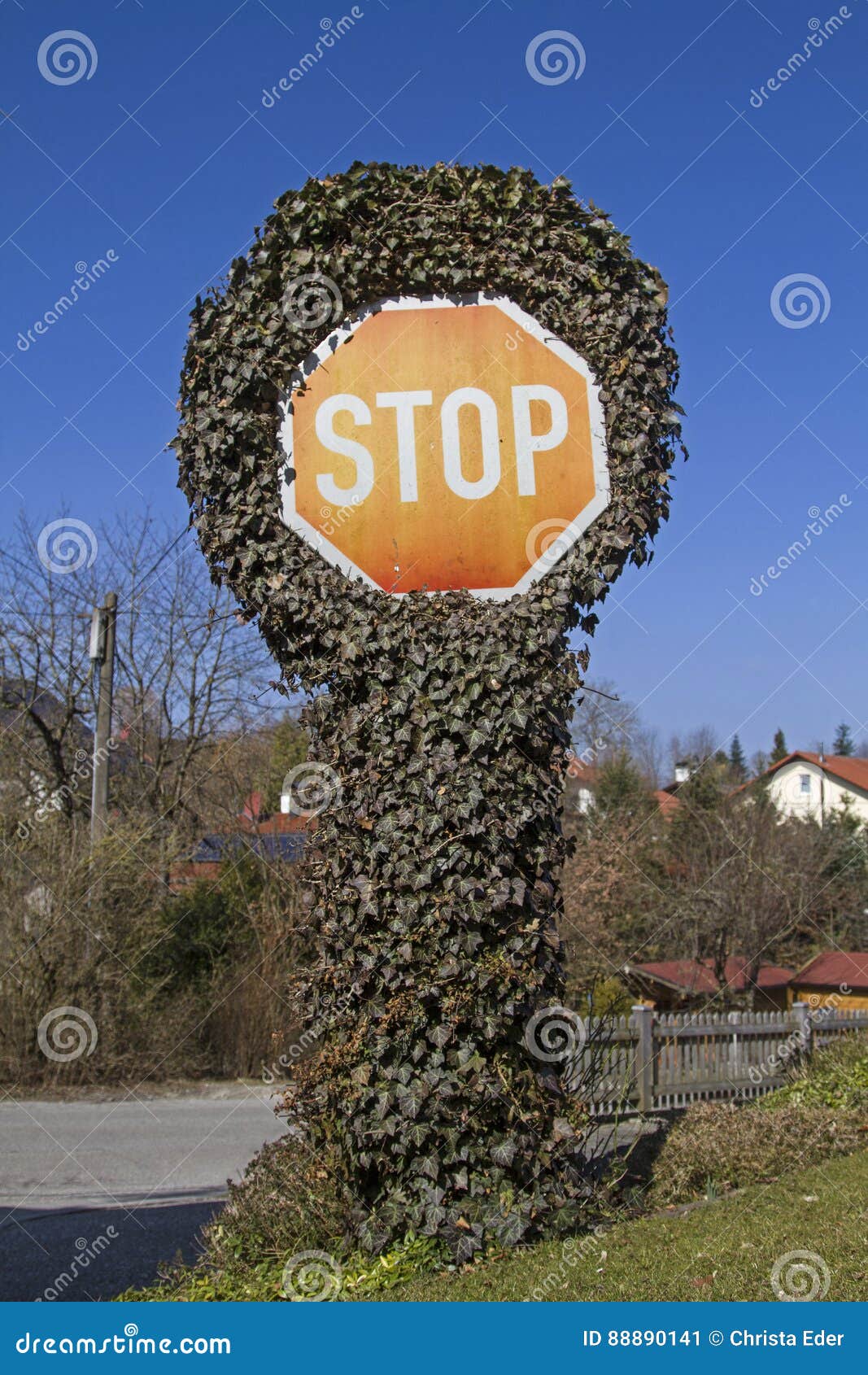 Stop sign with plants stock image. Image of warning, climbing - 88890141