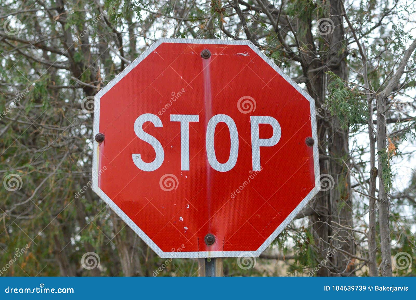 The Stop Sign in the Public Park Stock Image - Image of stop, traffic ...