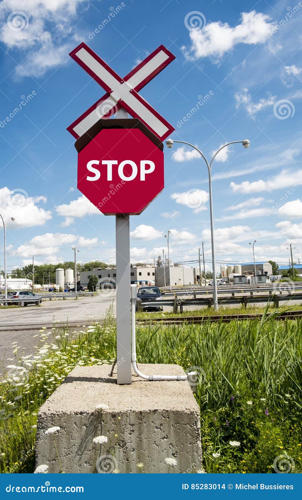 Stop Sign at a Railway Crossing Stock Photo - Image of sign, foliage ...