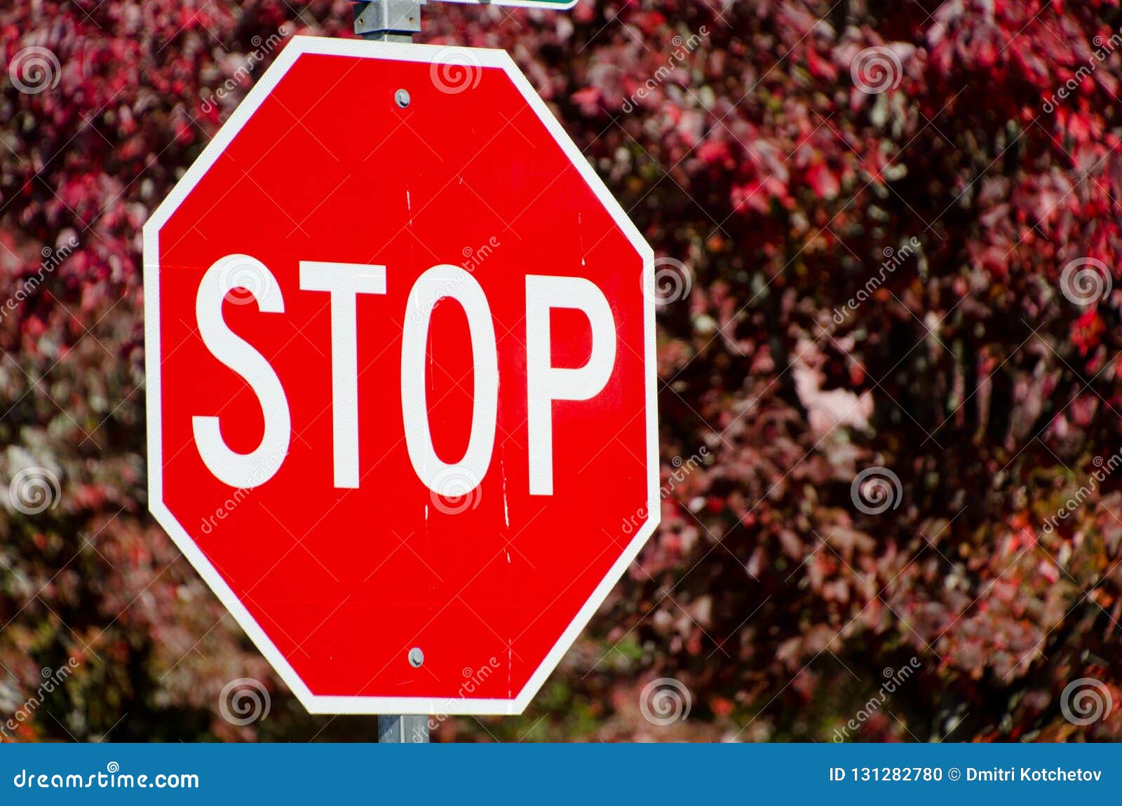 Stop Sign with Red Leaves in the Background Stock Photo - Image of stop ...