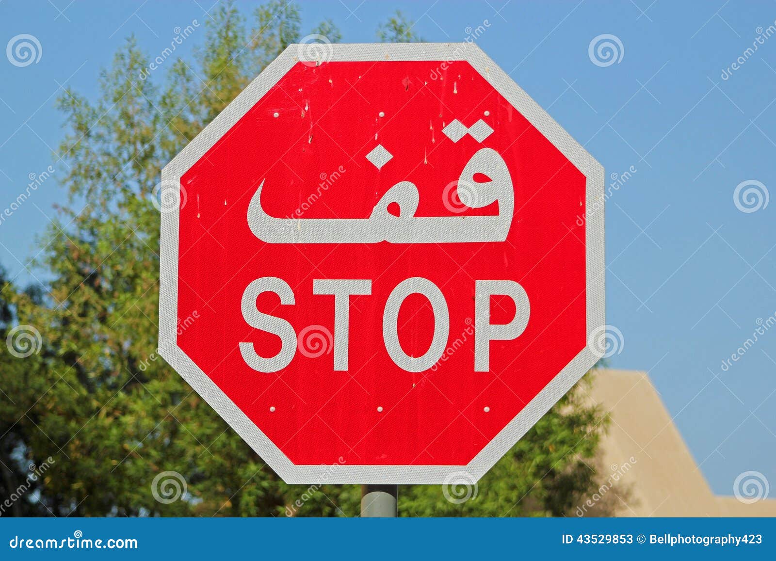 Stop sign stock image. Image of roadsign, arabic, decision - 43529853