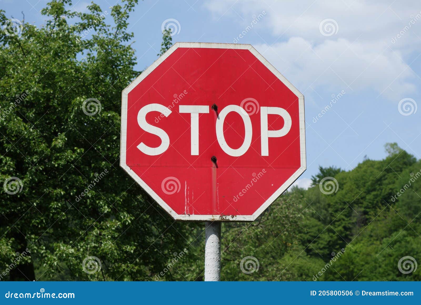 Stop sign on the road stock photo. Image of road, isolated - 205800506