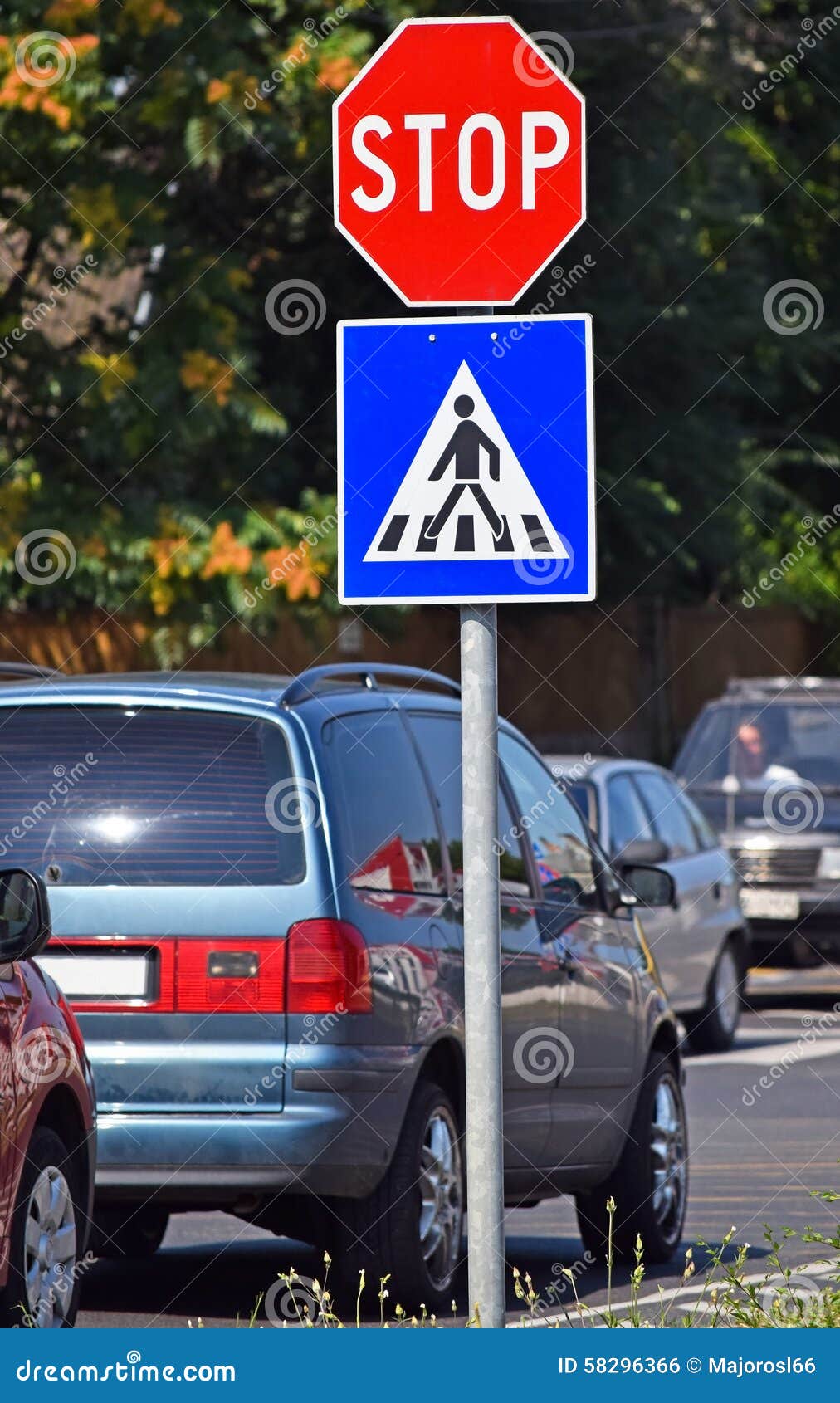 Stop sign on the road stock photo. Image of tree, traffic - 58296366