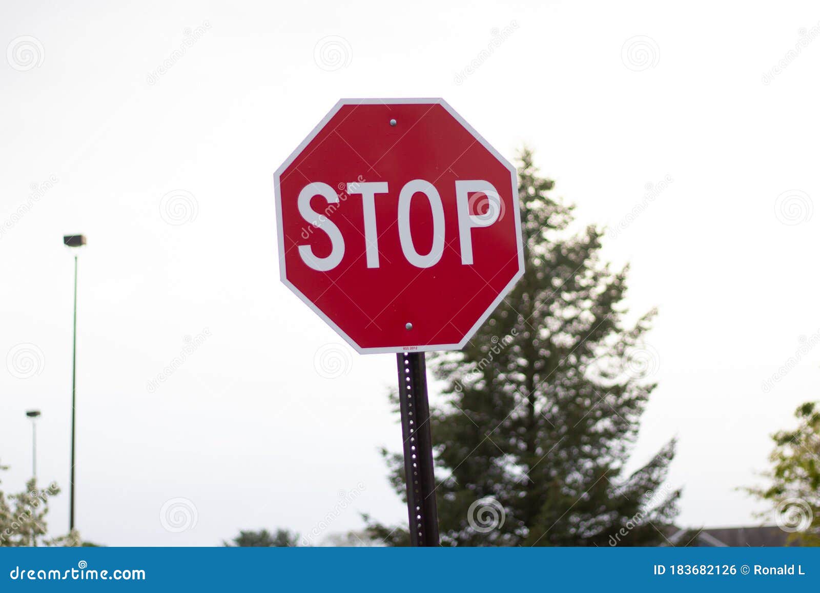 Stop Sign on the Road in United States Stock Photo - Image of force ...