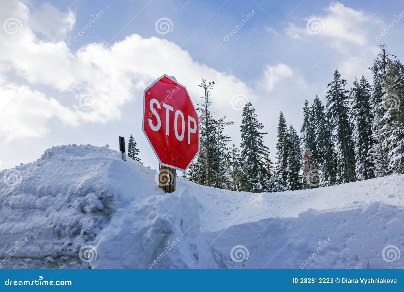 Stop Sign on the Roadside almost Covered with Snow Stock Image - Image ...