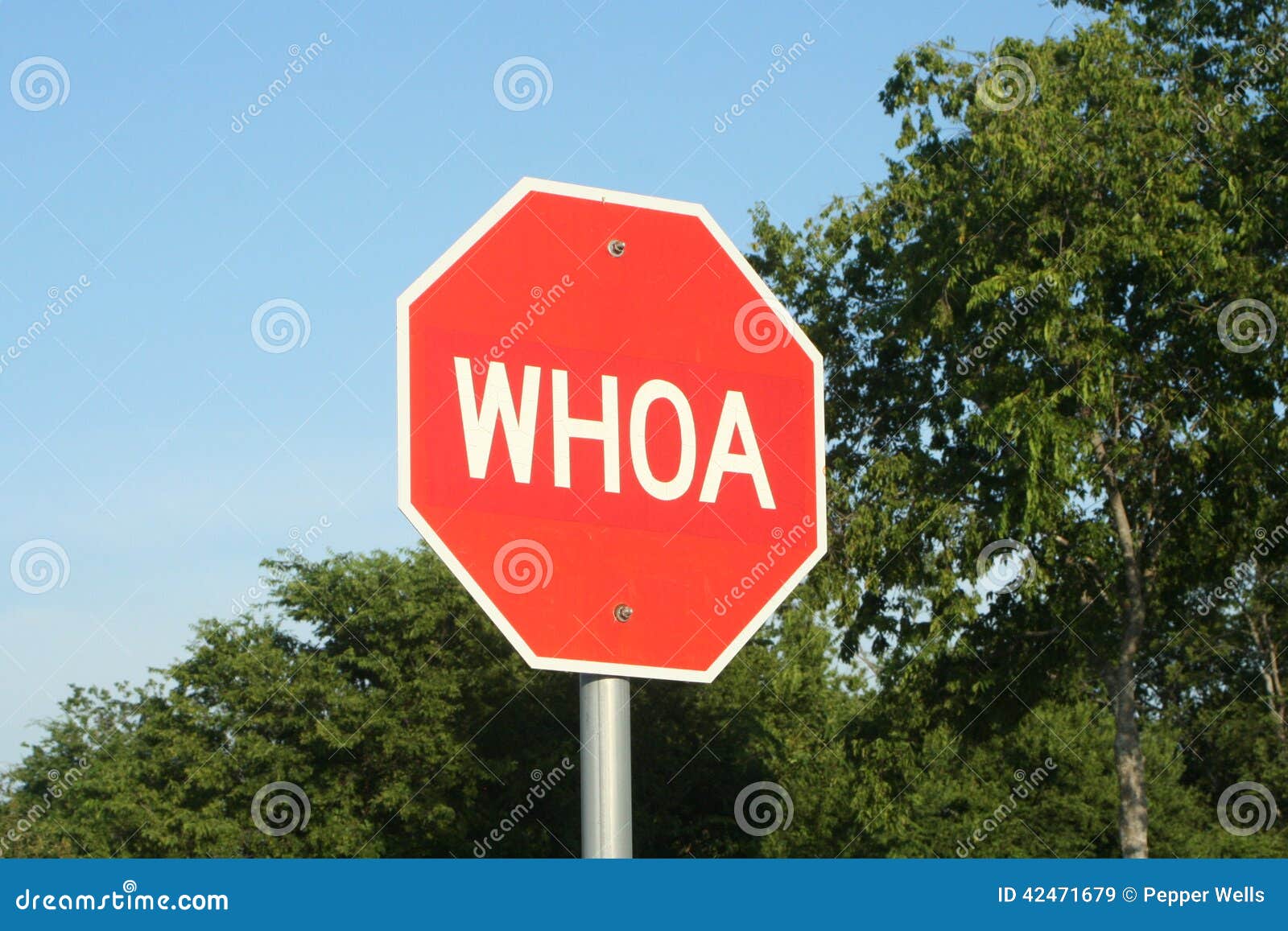Whoa Stop Sign, Waxahachie, Texas Stock Image - Image of funny, grounds ...
