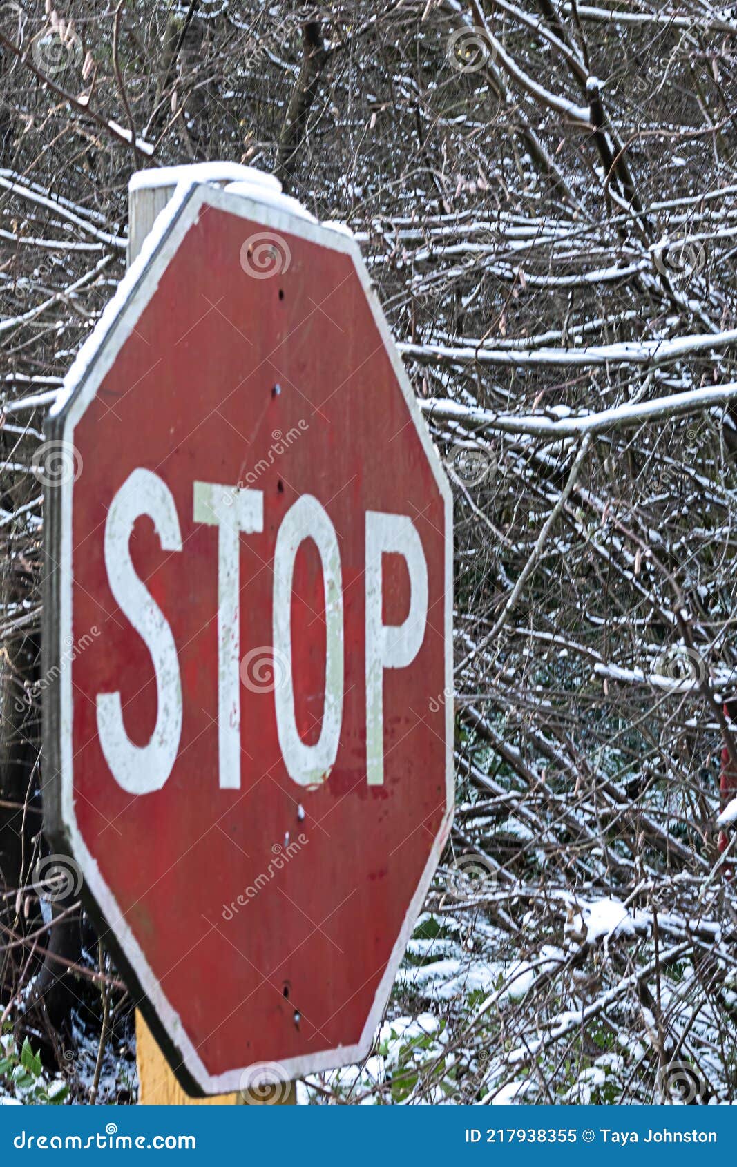 Stop Sign in Rural Area Covered in Snow Stock Image - Image of field ...