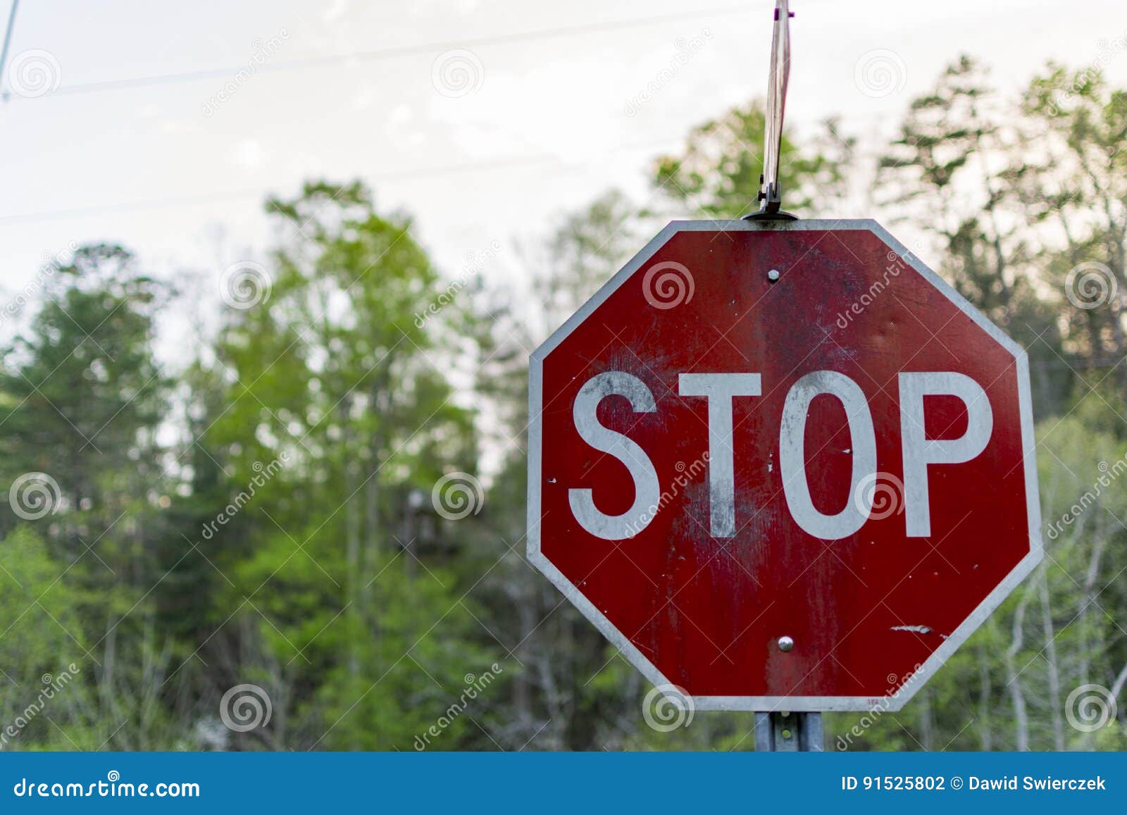 Stop Sign stock photo. Image of outside, forest, defocused - 91525802